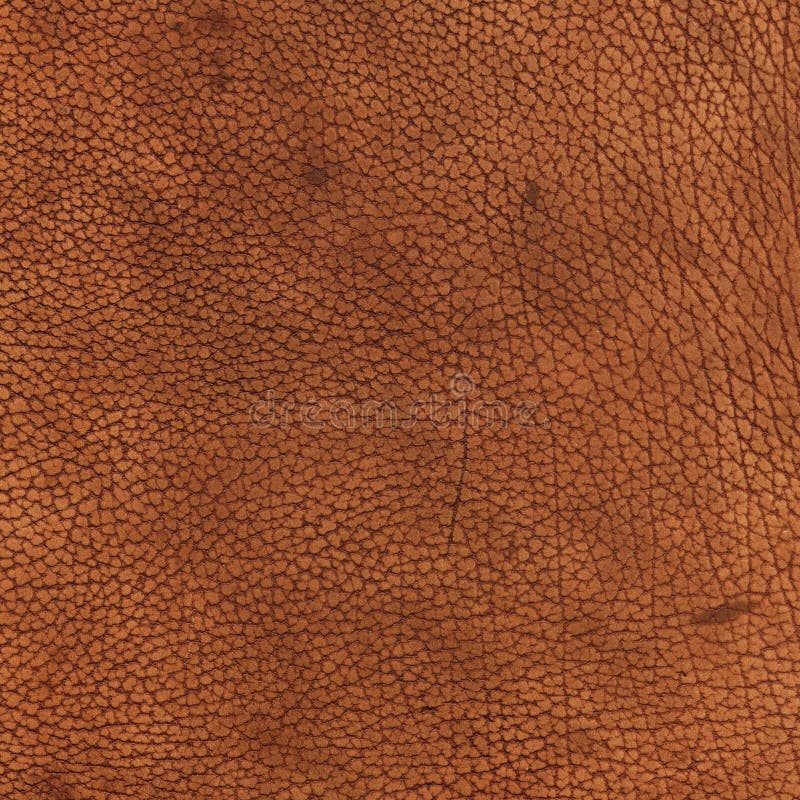 Old leather stock photo. Image of material, color, blank - 18375288