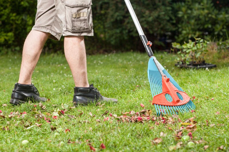 Sweeping leaves stock photo. Image of collect, raking - 43881980