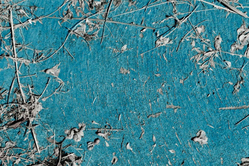 Old Light Blue Textured Background with Pieces of Dried Plants Stock ...