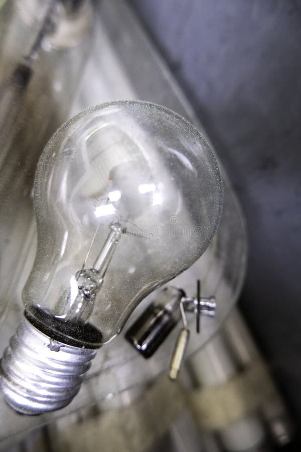 Old Light Bulbs in the Trash Stock Image - Image of recycling, broken ...