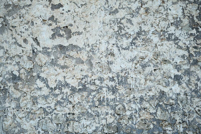 Old limewash wall texture stock photo. Image of grunge - 235800632