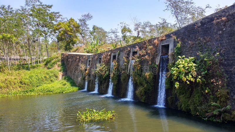 Old Little waterfall stock photo. Image of tree, little - 222235698