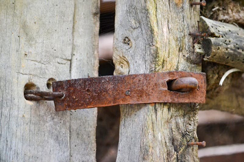 Old lock on the door stock photo. Image of wood, twig - 335005052