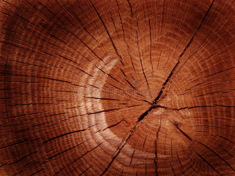 Old log stock image. Image of cracks, background, grain - 5488873