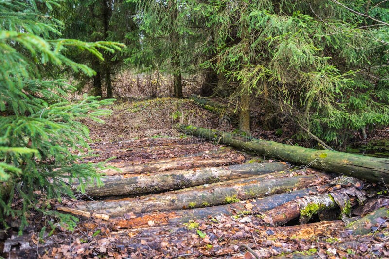 Old log bridge stock image. Image of nature, bridge, road - 50222547