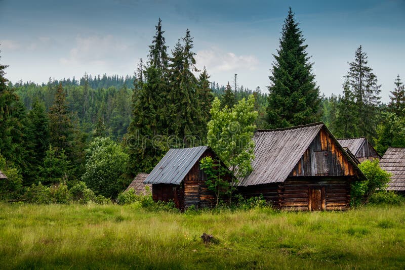 Old Log Cabin in the Forest Stock Image - Image of house, poland: 132631403