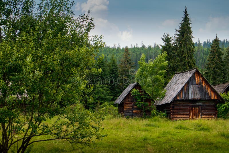 Old Log Cabin in the Forest Stock Photo - Image of architecture, nature ...
