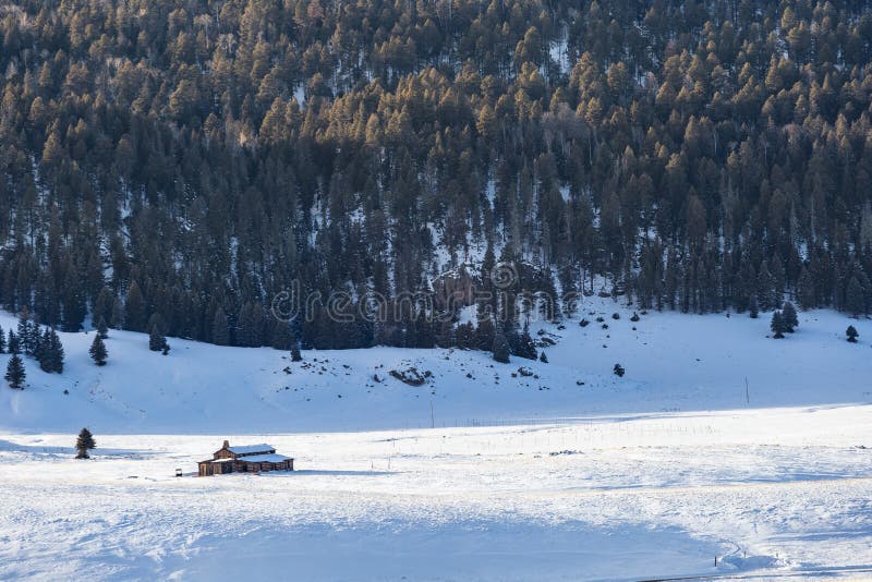 Old Log Cabin Surrounded by Snow Sitting at the Base of a Tree Covered ...