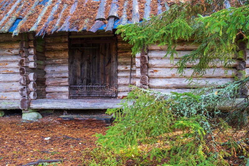 Old Log House with a Door in the Woodland Stock Image - Image of cabin ...