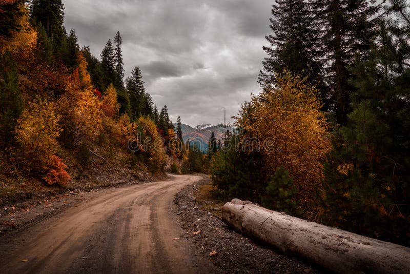 Old Log Lying Edge Road Stock Photos - Free & Royalty-Free Stock Photos ...