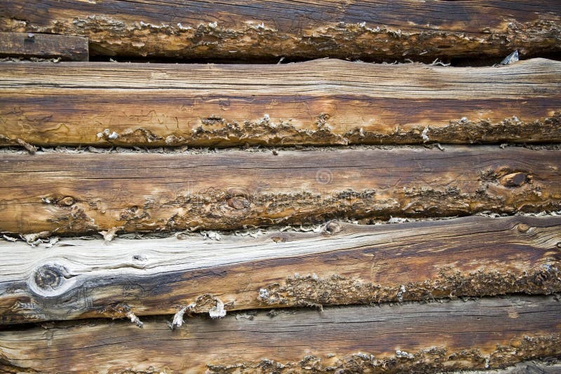 Old log wall background stock image. Image of peeling - 13016021