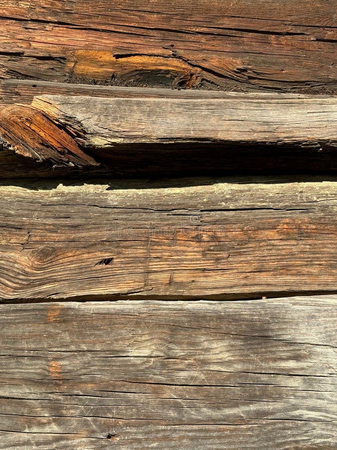 Old Log Wall. the Logs are Cracked and Eaten by Bugs. Stock Image - Image of brick, plant: 329640235