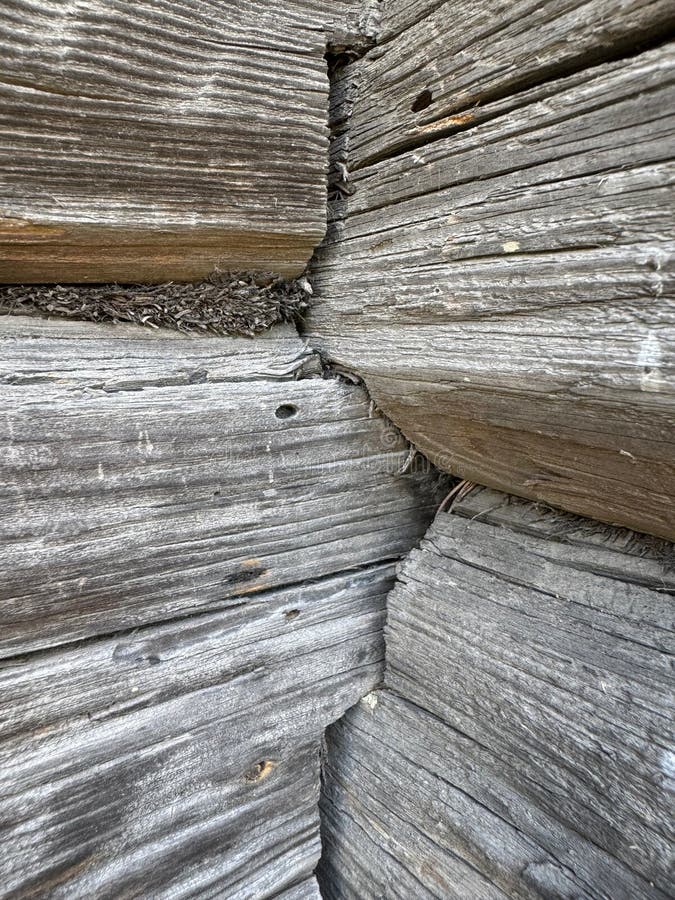 Old Log Wall. the Logs are Cracked and Eaten by Bugs. Converge at an ...