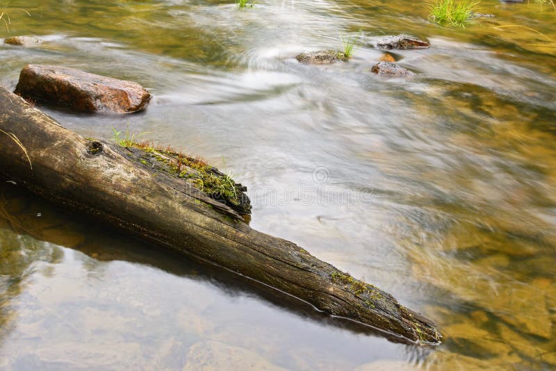 Old Tree Log Beside Stream stock image. Image of shallow - 78114647