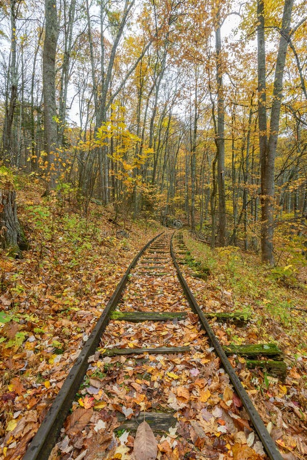 Old Logging Train Tracks on the Blue Ridge Parkway Stock Image - Image ...