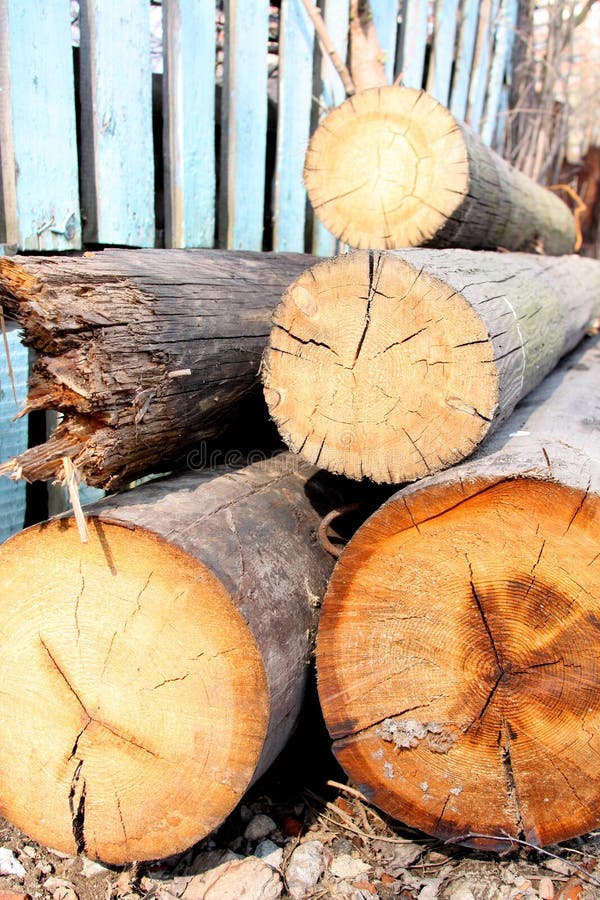 Old logs stock photo. Image of fallen, logs, rough, brown - 9689454