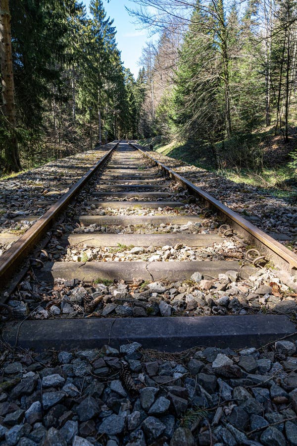 Old and Lonely Railroad through the Green Forest Stock Photo - Image of ...