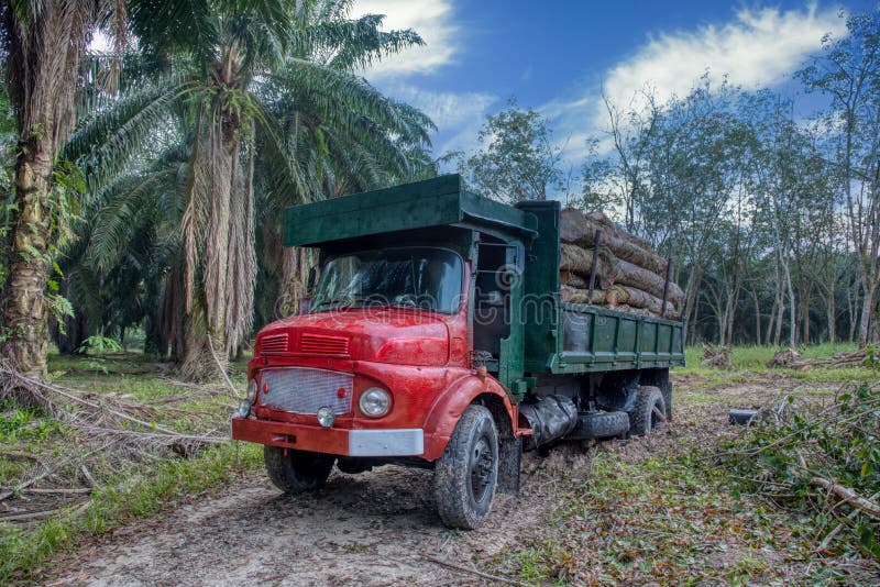 Old Lorry Carrying Load of Rubber Logs or Woods To Be Transported To ...