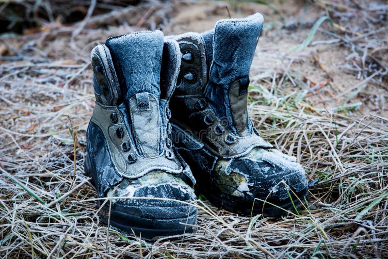 Old Lost Gum Boots on Wooden Log Stock Image - Image of field, boots ...