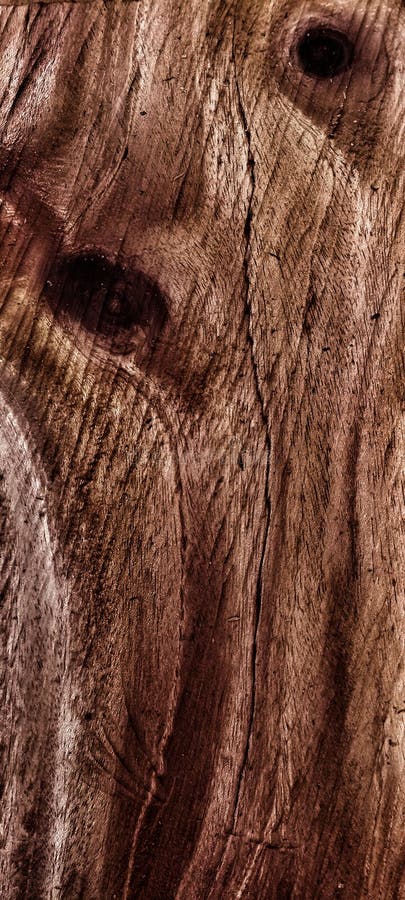 Mahoni Leaf Stock Photos - Free & Royalty-Free Stock Photos from Dreamstime