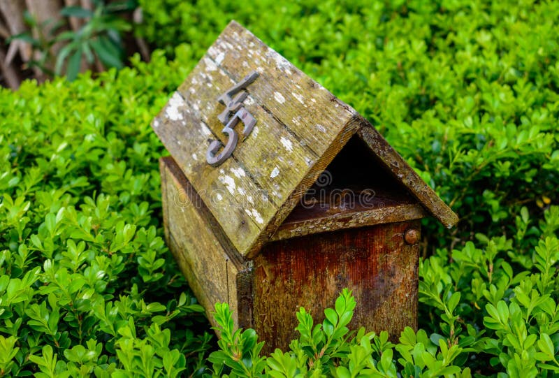 Old mail box and bush stock image. Image of green, wooden - 139696021