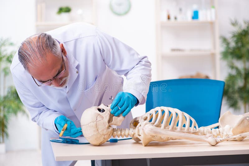 Old Senior Anthropologist Working in the Lab Stock Image - Image of ...