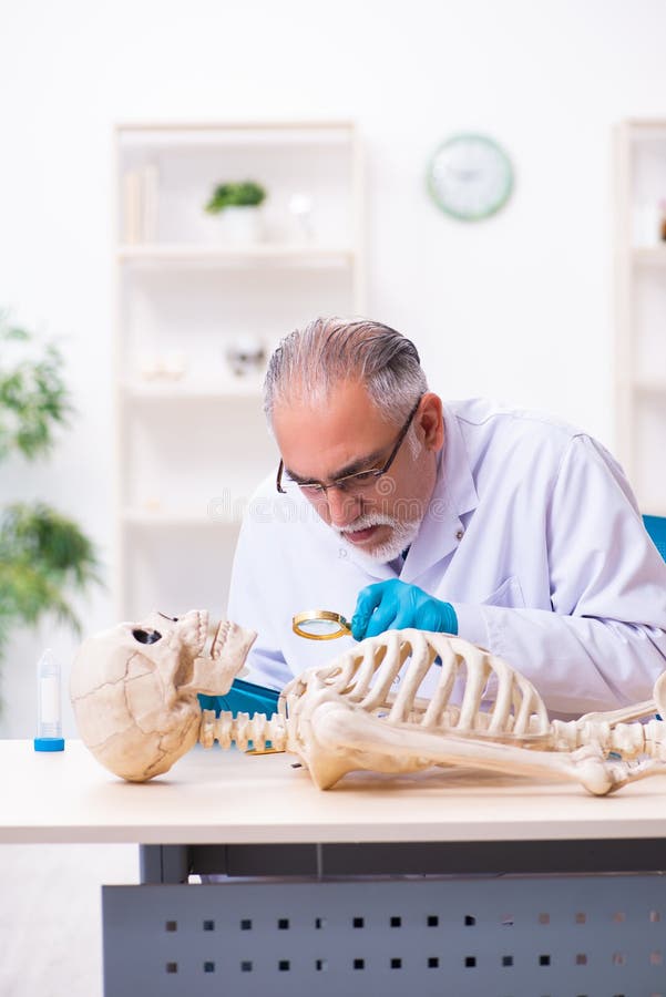 Old Senior Anthropologist Working in the Lab Stock Photo - Image of ...