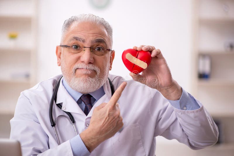 Old Male Cardiologist Holding Heart Model Stock Image - Image of ...