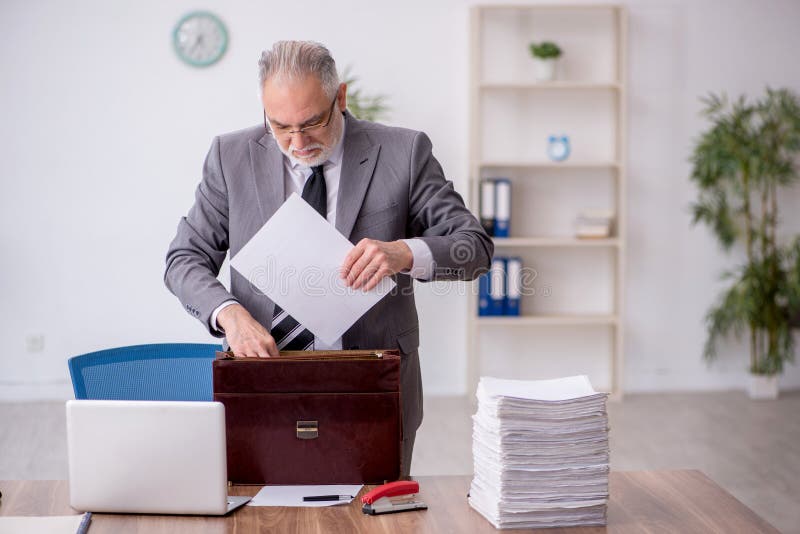 Old Male Employee Working in the Office Stock Image - Image of business ...