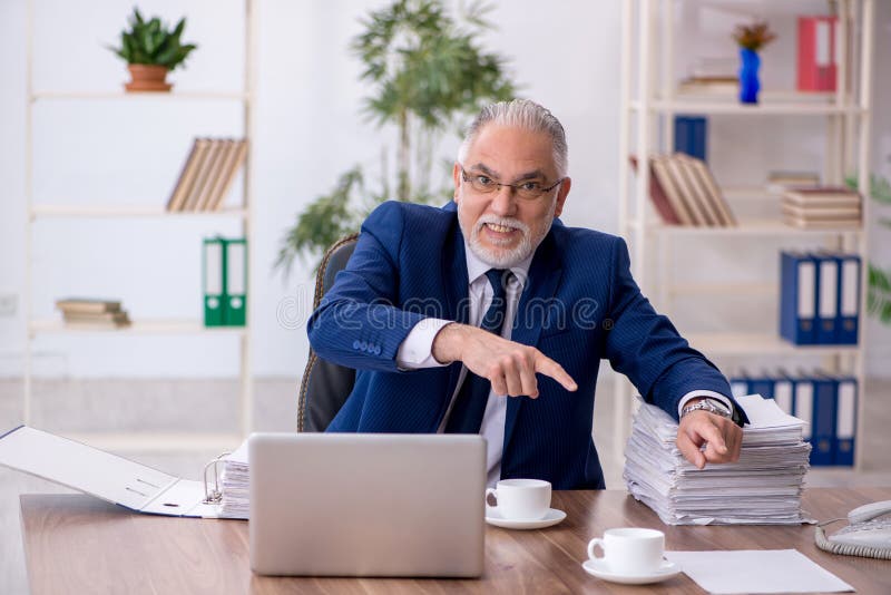 Old Male Employee Working in the Office Stock Photo - Image of boss ...
