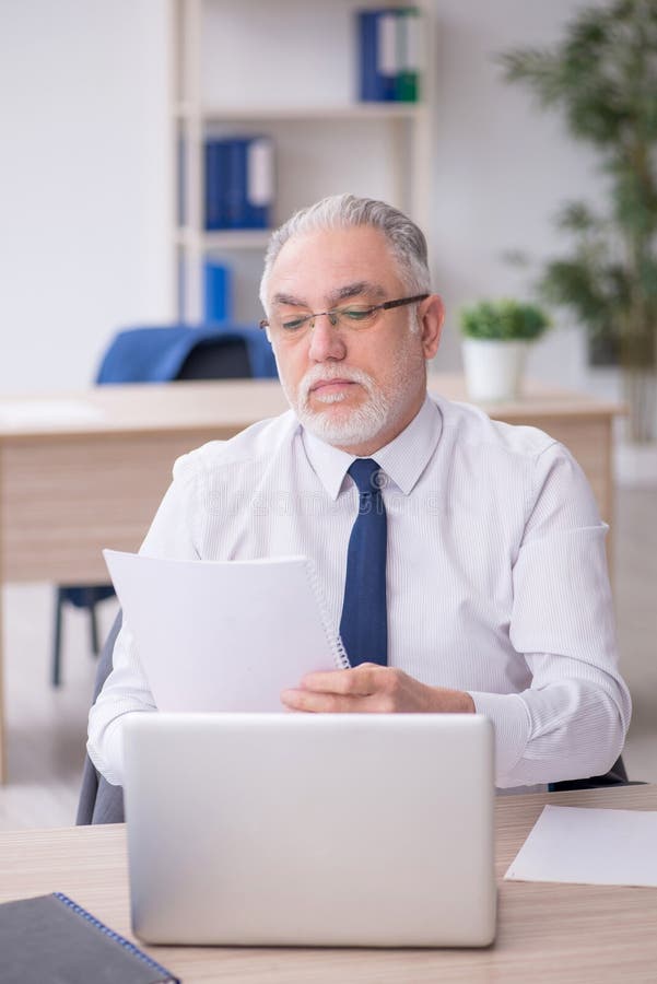 Old Male Employee Working in the Office Stock Photo - Image of auditor ...