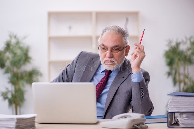 Old Male Employee Working in the Office Stock Image - Image of manager ...