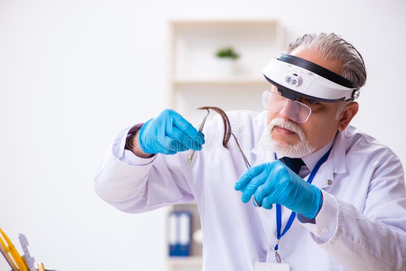 Old Male Expert Criminologist Working in the Lab for Evidence Stock ...