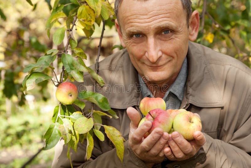 Old Man with Apples in Hands in Orchard Stock Image - Image of apple ...