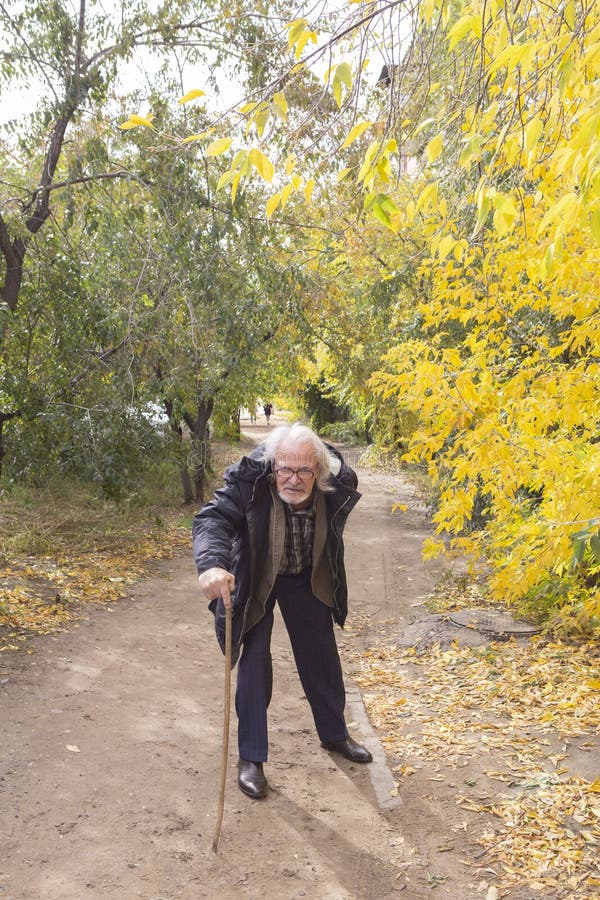 Old man in autumn forest stock photo. Image of elderly - 198934398