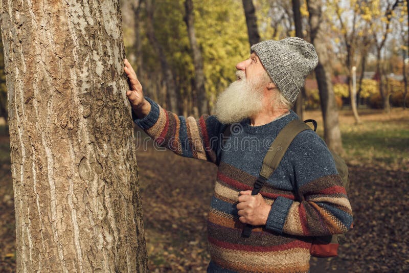 Old Man with Beard in Forest Stock Image - Image of plant, activity ...