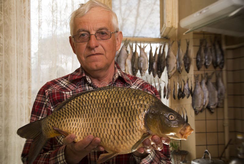 Old Man with Big Fresh Carp Stock Image - Image of meal, closeup: 39376537