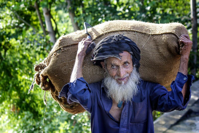 An Old Man Carrying Feed for Cattle Editorial Photography - Image of ...