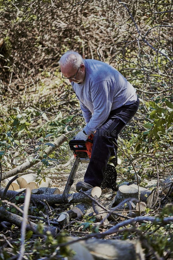 An Old Man is Cutting Down a Fallen Tree in the Forest. Stock Photo ...