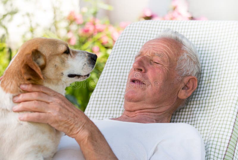 Old man with dog in garden stock image. Image of elderly - 135605907