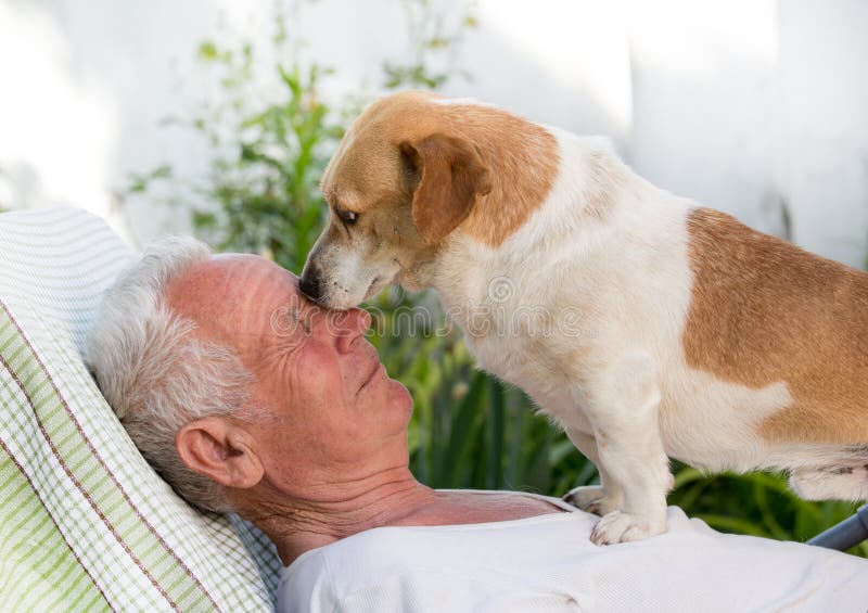Old man with dog in garden stock photo. Image of happy - 135611926