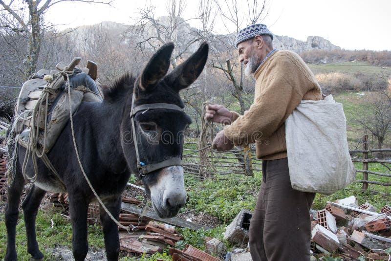 Old man and donkey editorial stock photo. Image of farmer - 101956213
