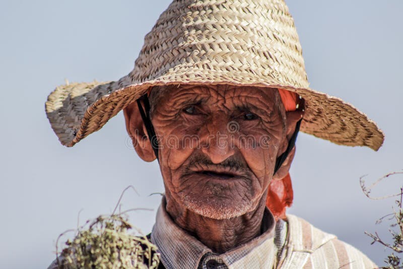 An old man of expressions editorial stock photo. Image of palha - 180055303