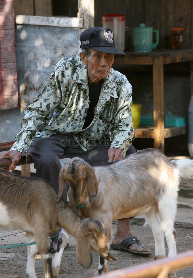 Old man faces editorial stock photo. Image of trader - 44651518