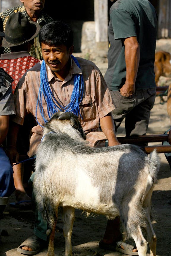 Old man faces editorial photo. Image of central, java - 44651526