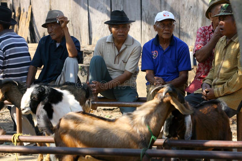 Old man faces editorial image. Image of people, goats - 44651540