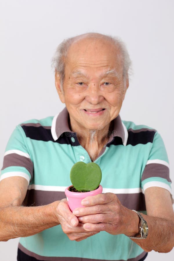 Old Man Hold Pot Green Leaf Heart Photos - Free & Royalty-Free Stock ...