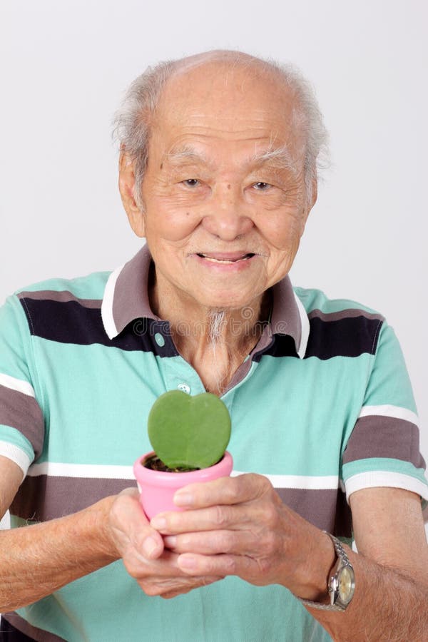 Old Man Hold Pot Green Leaf Heart Stock Photos - Free & Royalty-Free ...