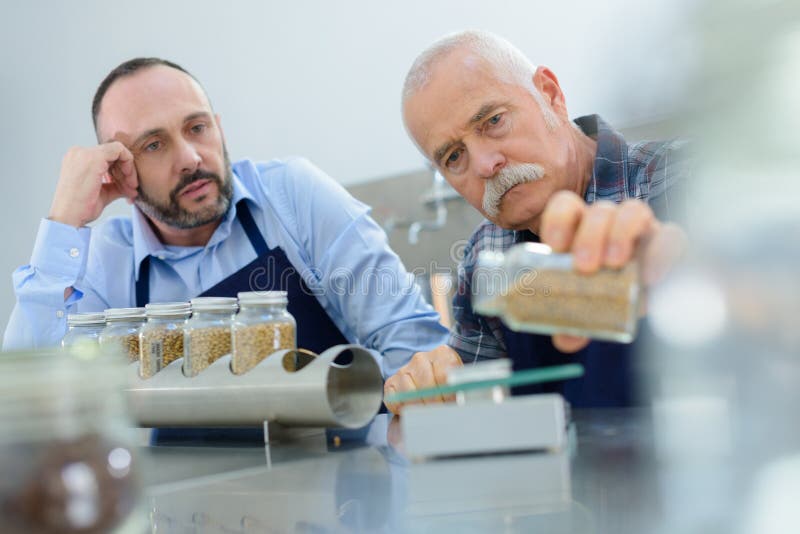 Old Man Holding Weighing Grains Stock Photo - Image of wheat, closeup ...