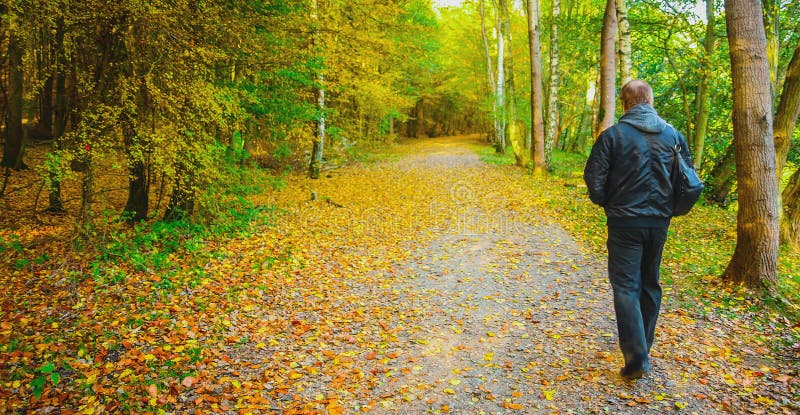Old man outdoors stock photo. Image of older, forest - 69744844